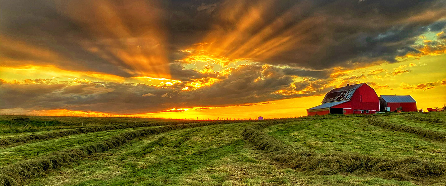 Lindsay Lake Farms Nova Scotia